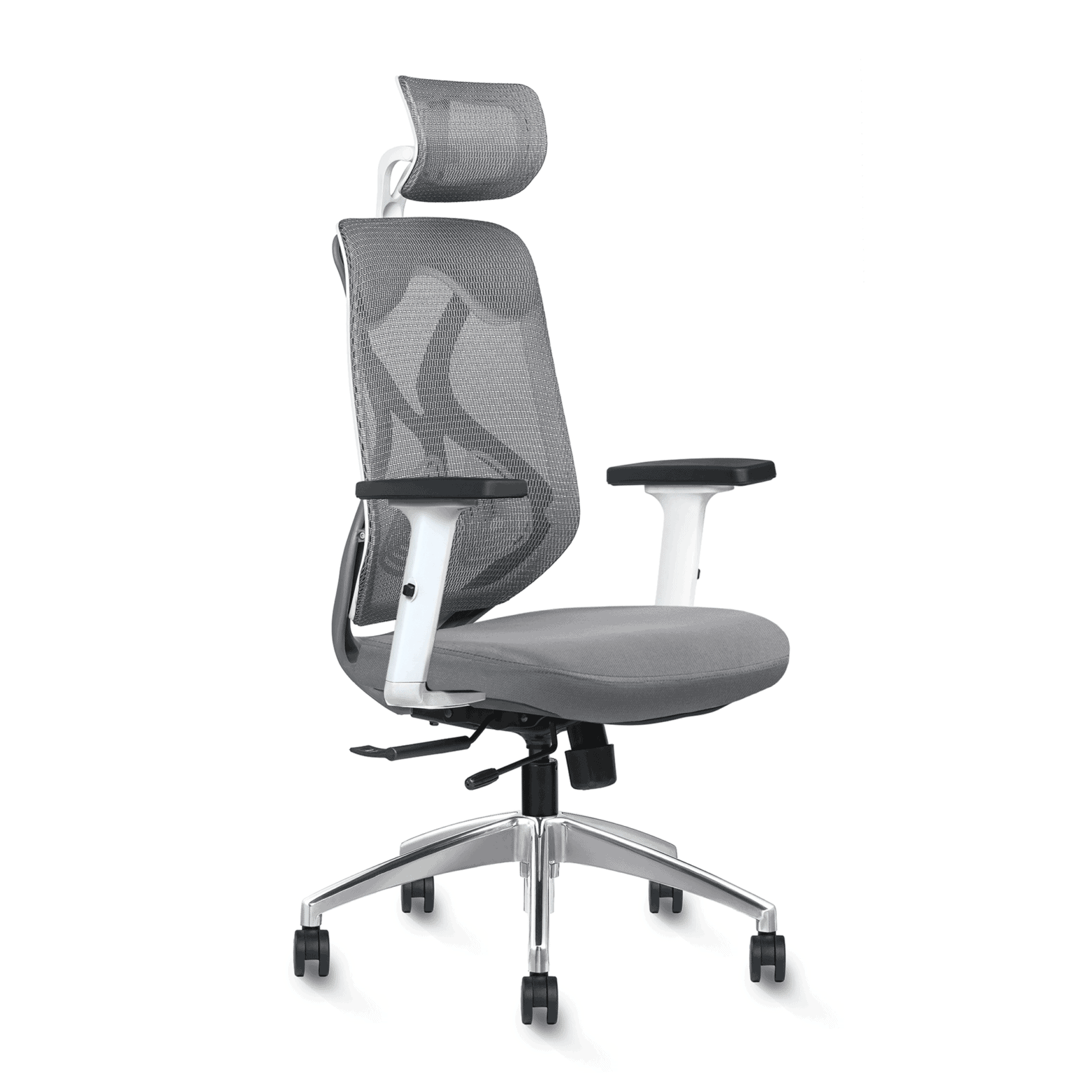 Argon High Back Ergonomic Aluminum Base Mesh Home & Office Chair ...