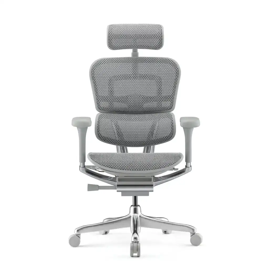 Original Ergohuman chair: Ergohuman Xpert ELITE 2.0 Review